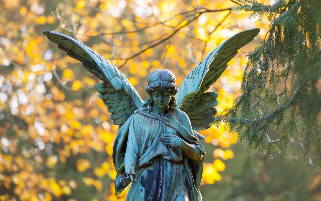 Signs of Your Angels - Psychics Free